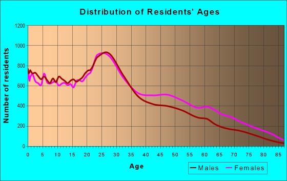 11206 Zip Code (New York, New York) Profile - homes, apartments ...