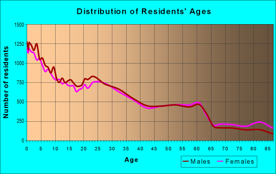 11219 Zip Code (New York, New York) Profile - homes, apartments ...