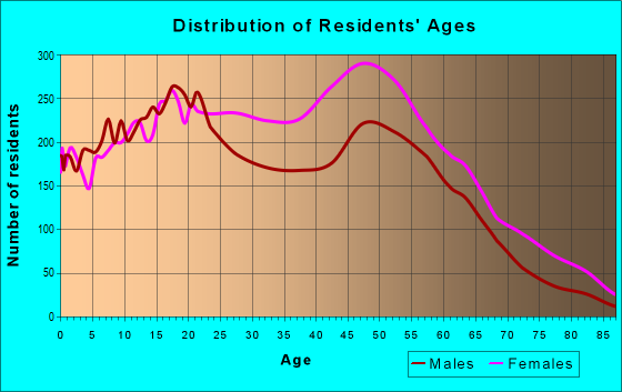 11422 Zip Code (New York, New York) Profile - homes, apartments ...