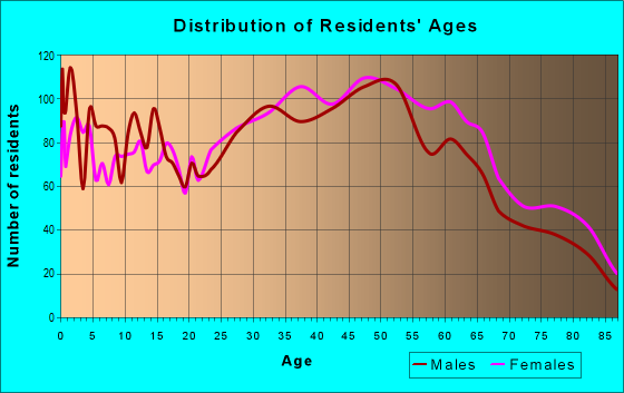 11953 Zip Code (Middle Island, New York) Profile - homes, apartments ...