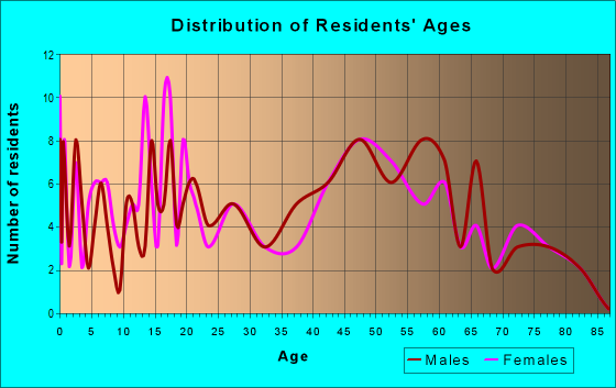 13325 Zip Code (Constableville, New York) Profile - homes, apartments ...