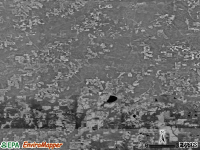 36442 Zip Code (Florala, Alabama) Profile - homes, apartments, schools ...