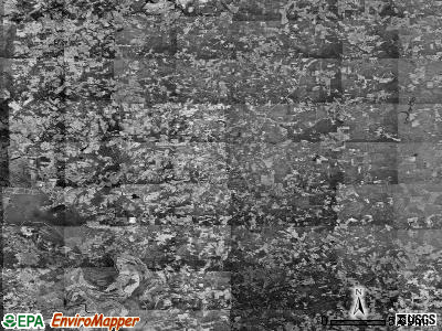 75801 Zip Code (Palestine, Texas) Profile - homes, apartments, schools ...