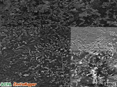 29728 Zip Code (Pageland, South Carolina) Profile - homes, apartments ...